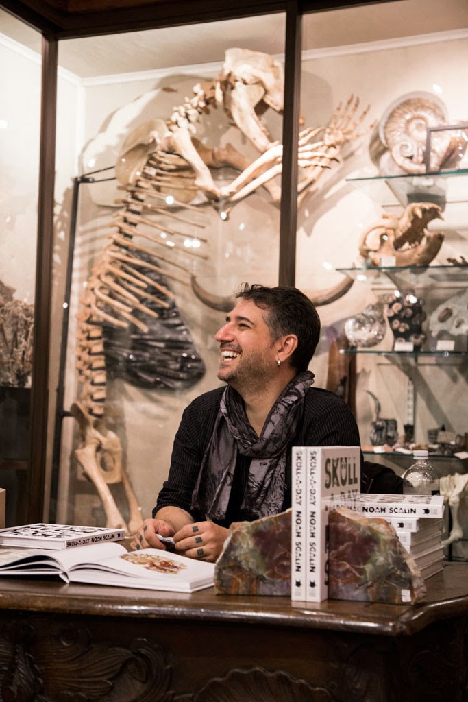 Skull-A-Day at The Evolution Store