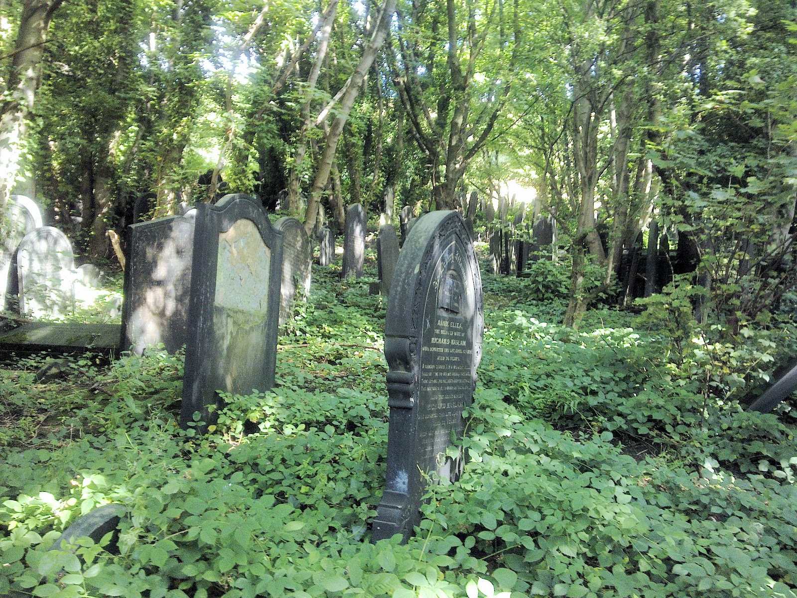 View From A Hill: Wardsend Cemetery - Sheffield