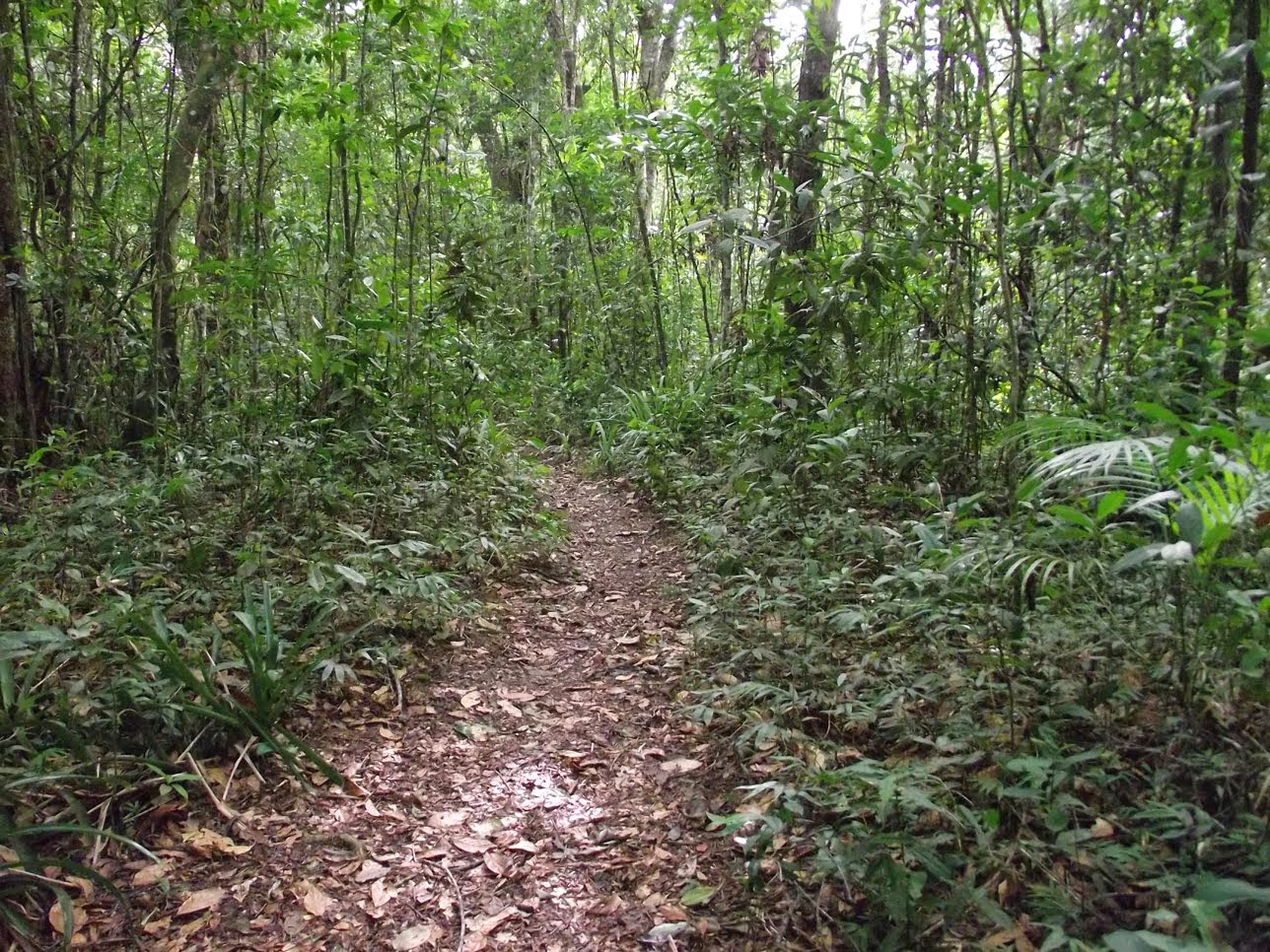 SITIO PARA ALUGAR EM BH - SITIO HARAS CAMINHO DA MATA