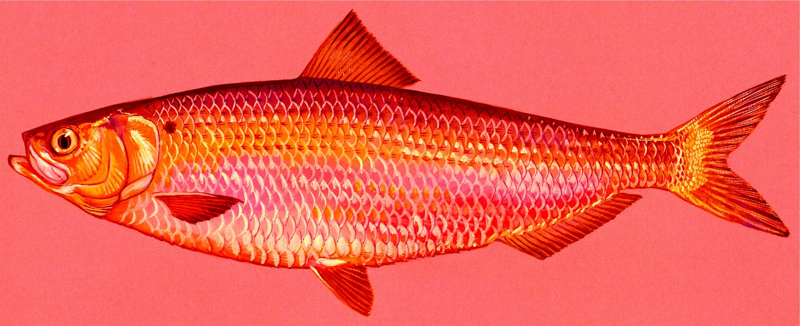 An Unexpected Error: May 2013