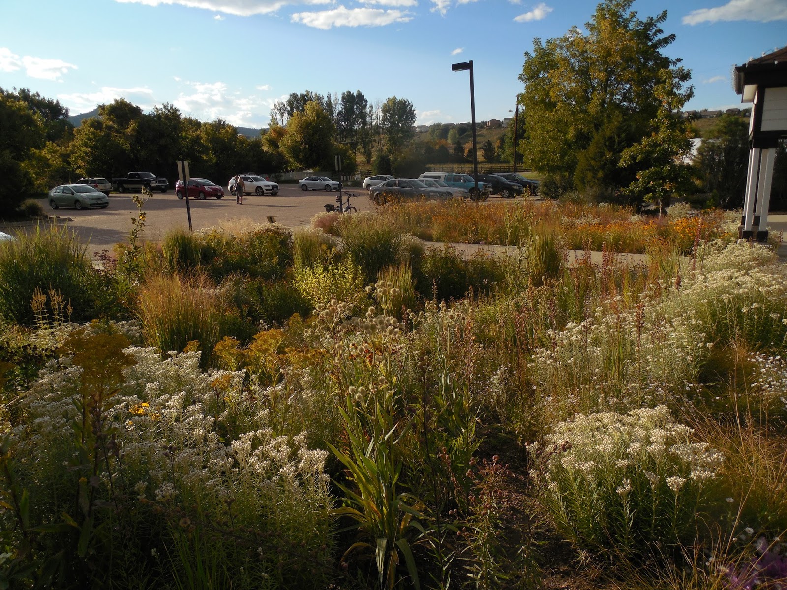 Prairiebreak: Singing a different tune: The Colorado prairie style