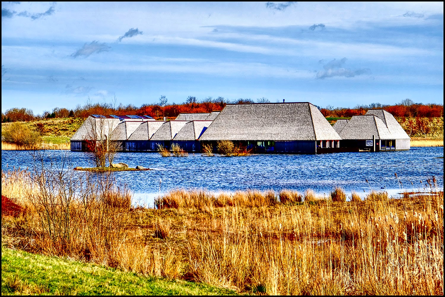 Digital Images: Brockholes Nature Reserve