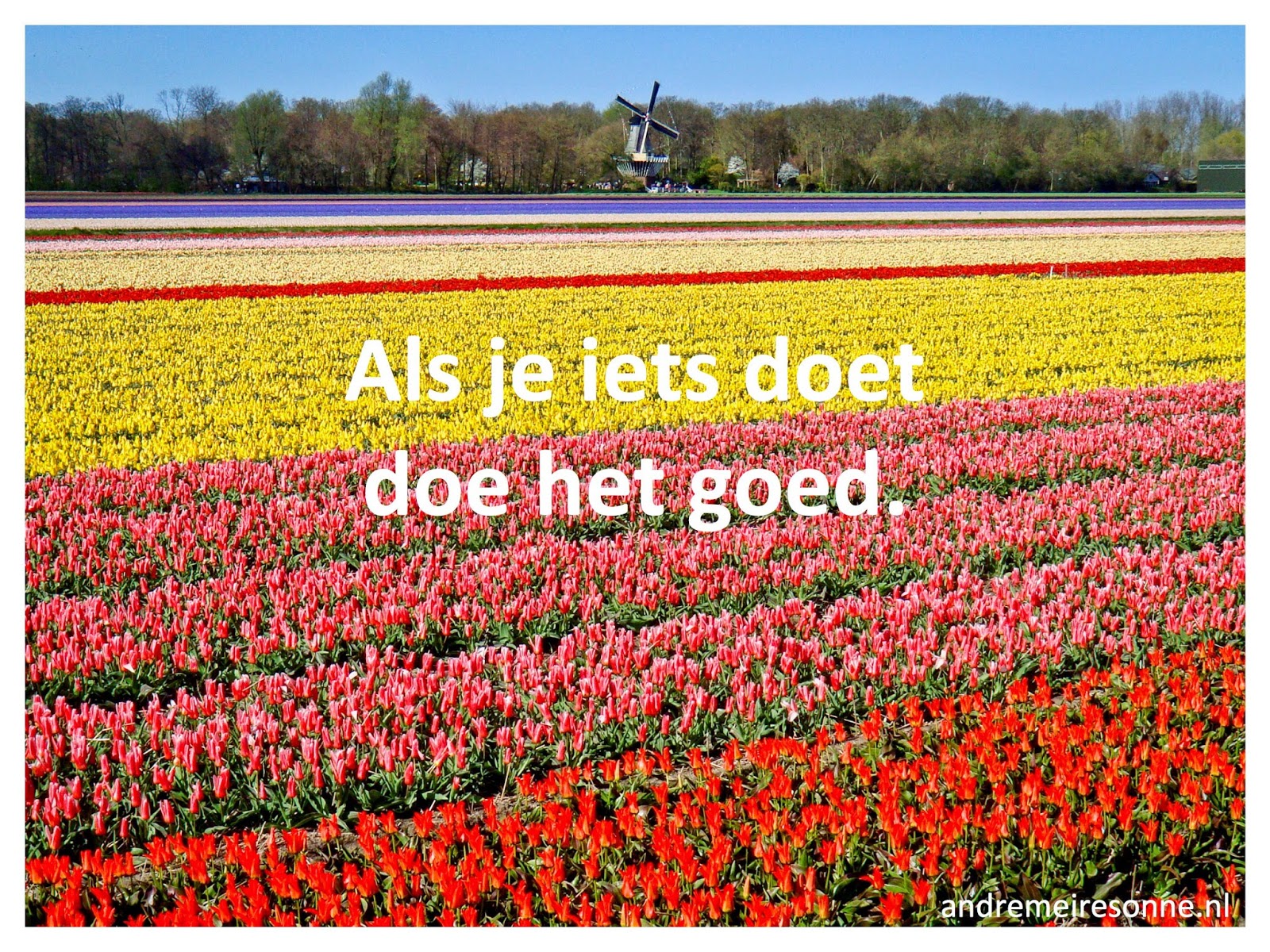Als je iets doet doe het goed ~ Andre Meiresonne