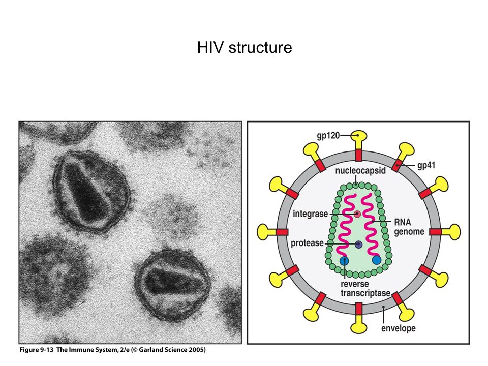 HIV/AIDS: HIV/AIDS