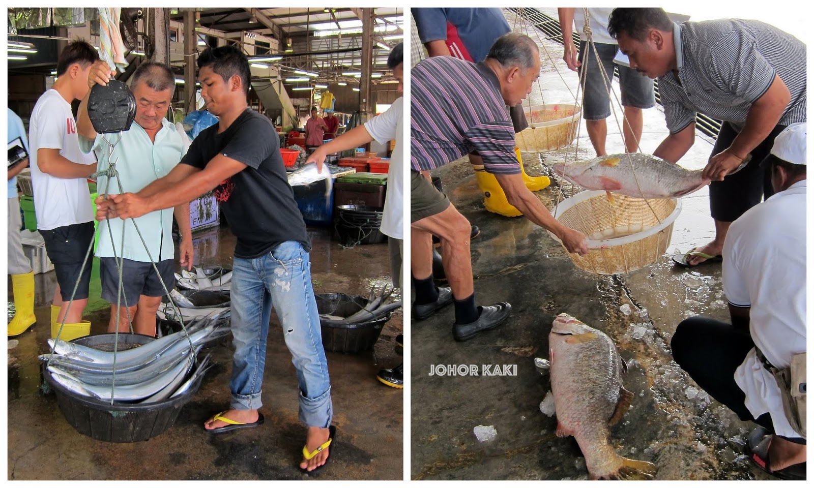 Pontian Wholesale Fish Market Update 2018 |Tony Johor Kaki Travels for ...
