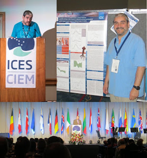 Así Surgen...: Ignacio Payá investigador de IFOP participó en la ...