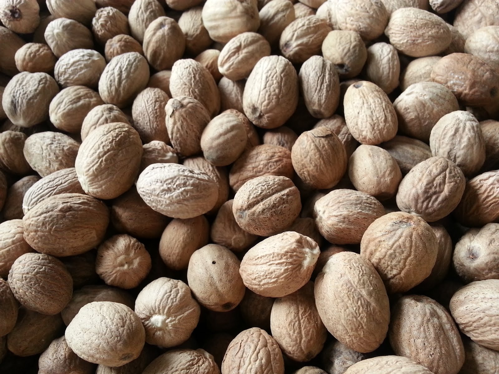 Buah Pala dan Biji Pala