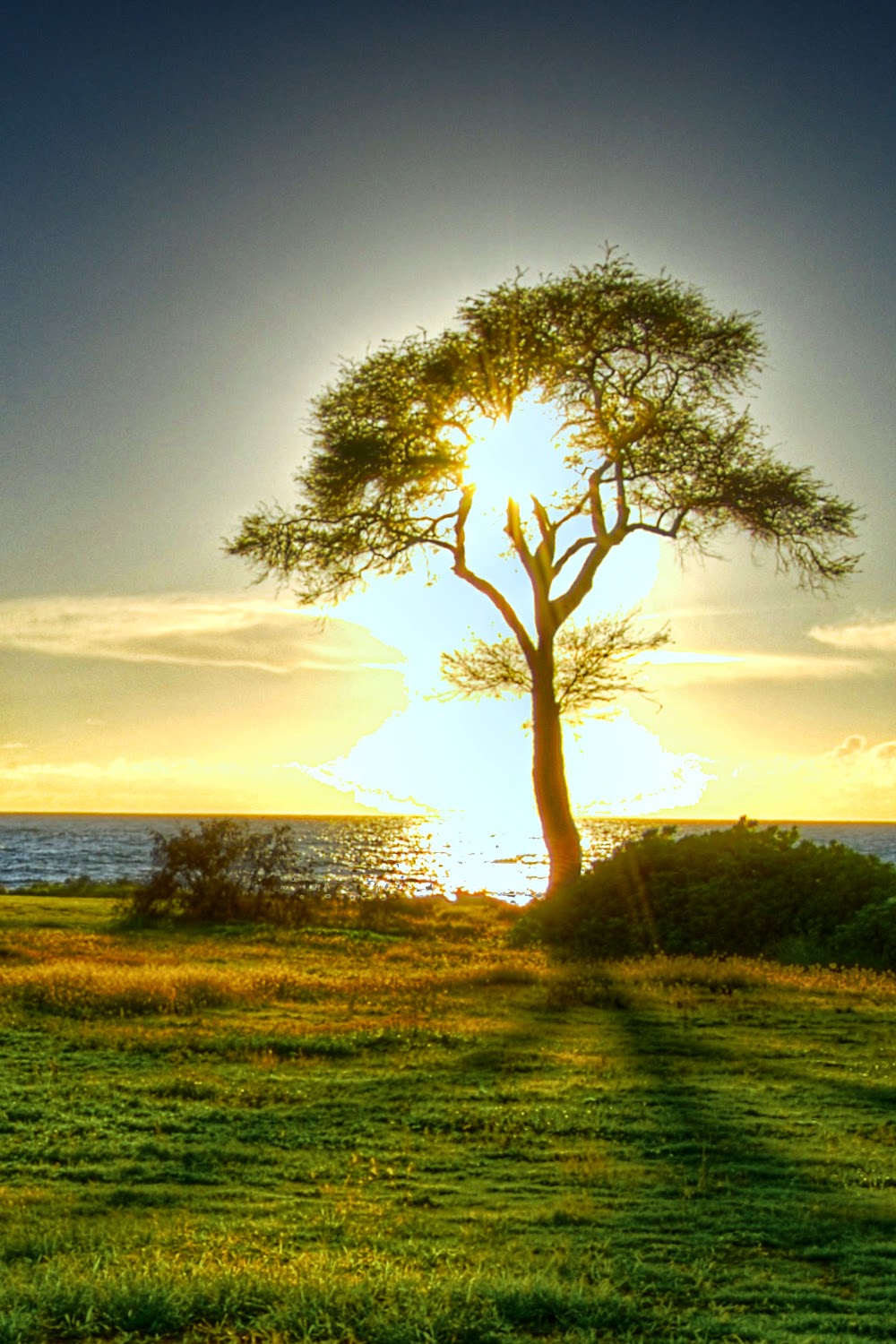 fotografia: Paisagem Natural