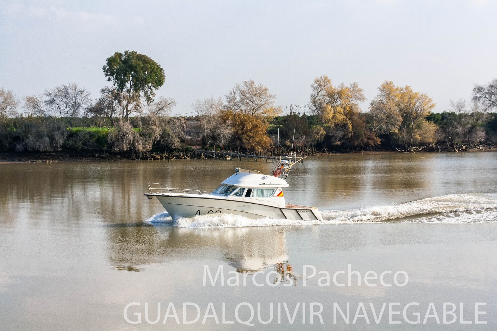 GUADALQUIVIR NAVEGABLE: LHT ESCANDALLO (17/02/2017)