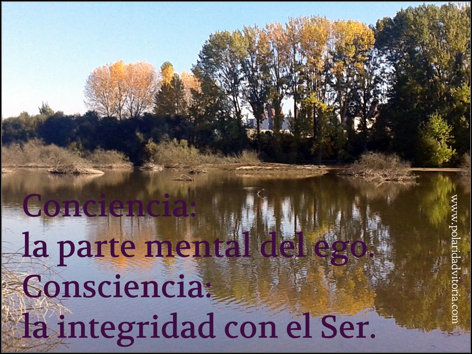 TERAPIA DE POLARIDAD: ¿CONCIENCIA O CONSCIENCIA?