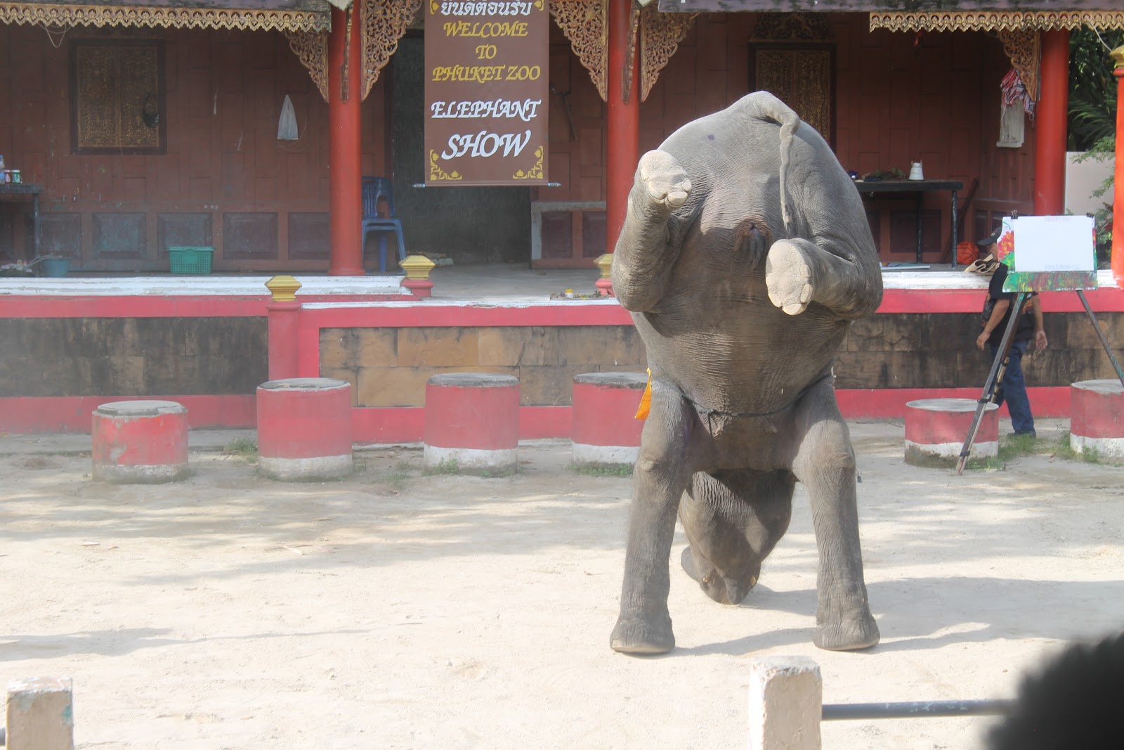 Our Thailand Trip