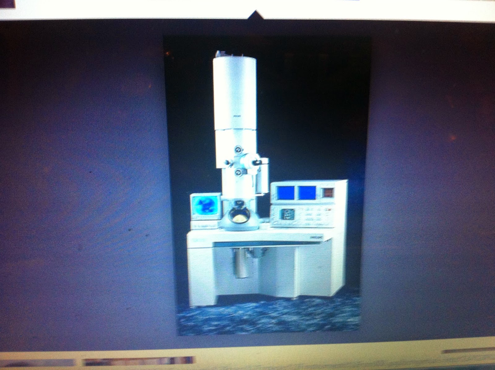 THE BLACK SOCIAL HISTORY:: BLACK SOCIAL HISTORY : AFRICAN AMERICAN ...