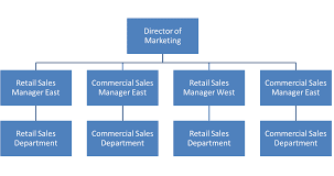 Human Resource Management: Organization Design