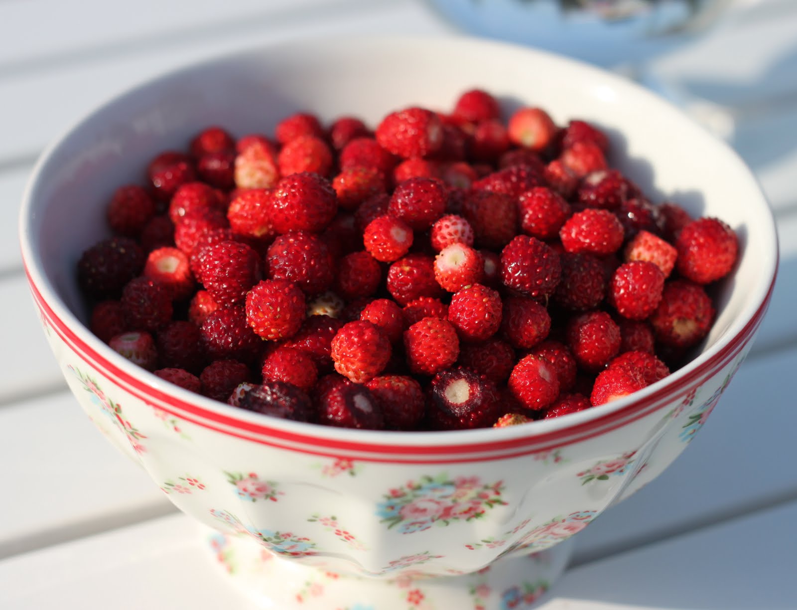 carinashousebythesea: Solvarma smultron