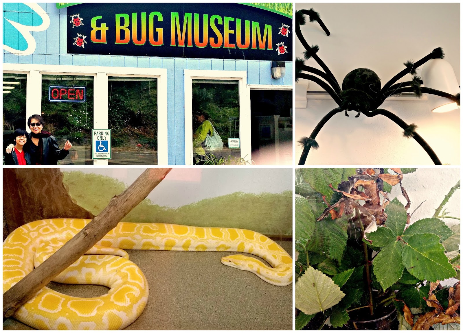 Carolina: Cruising Past 70: Babysitting in Seattle, a Grand Nanny's Tale