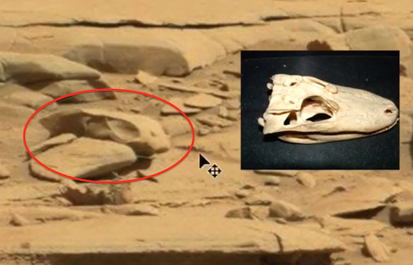 UFO SIGHTINGS DAILY: Skull Found On Mars By Curiosity Rover, April 27 ...