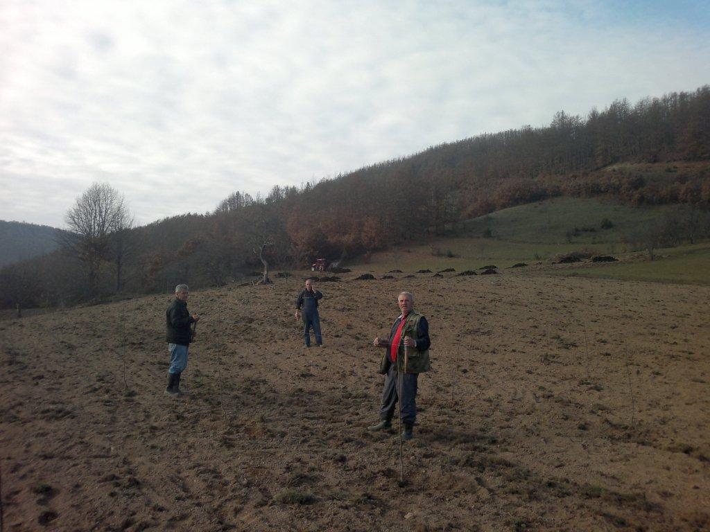 DŽEVDET - DŽEKA MUMINOVIĆ