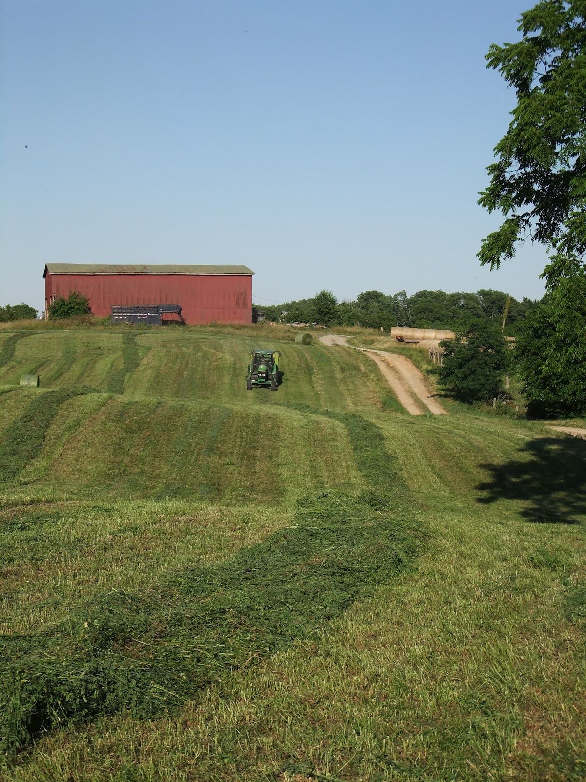 Brickhouse Cheese: Lessons From the Ant, Preparing Baleage for Winter