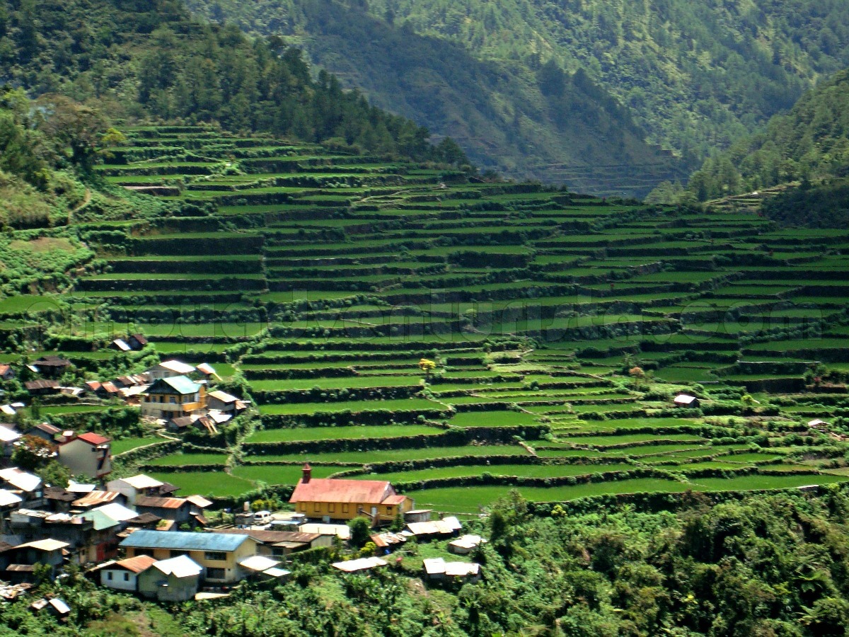 Mountain Province - Stopover at Bay-yo Rice Terraces in Bontoc | Blogs ...