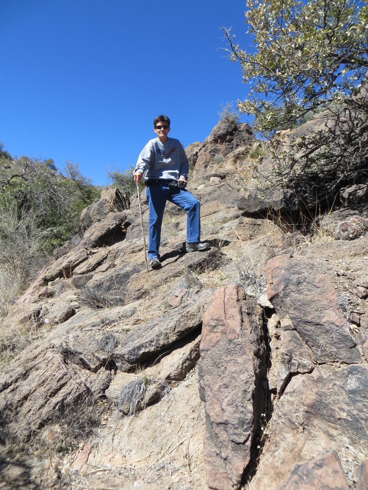 Livin' the Dream 2: Chihuahuan Desert