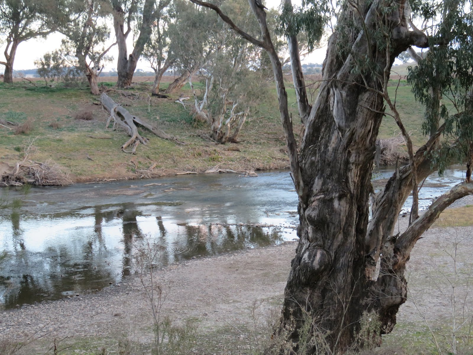 jannimary: A Long, Long Weekend Part 4 - Camping at Ponto Falls