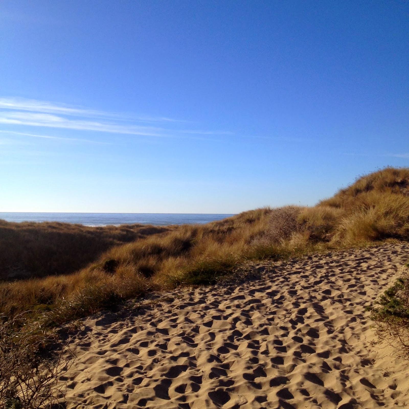 GOLDEN DREAMLAND: Favorite Beach: Kehoe