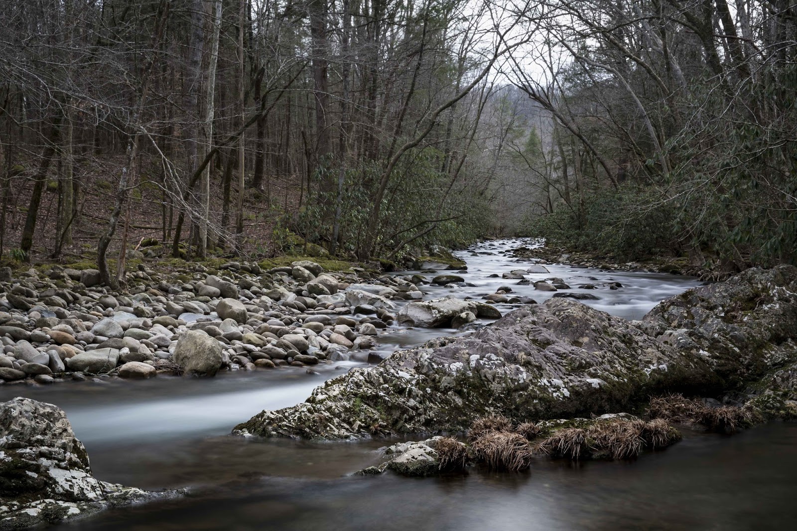 Lincoln's Domain: Pigeon Forge River