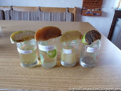 Highhill Homeschool: Rotting Apples