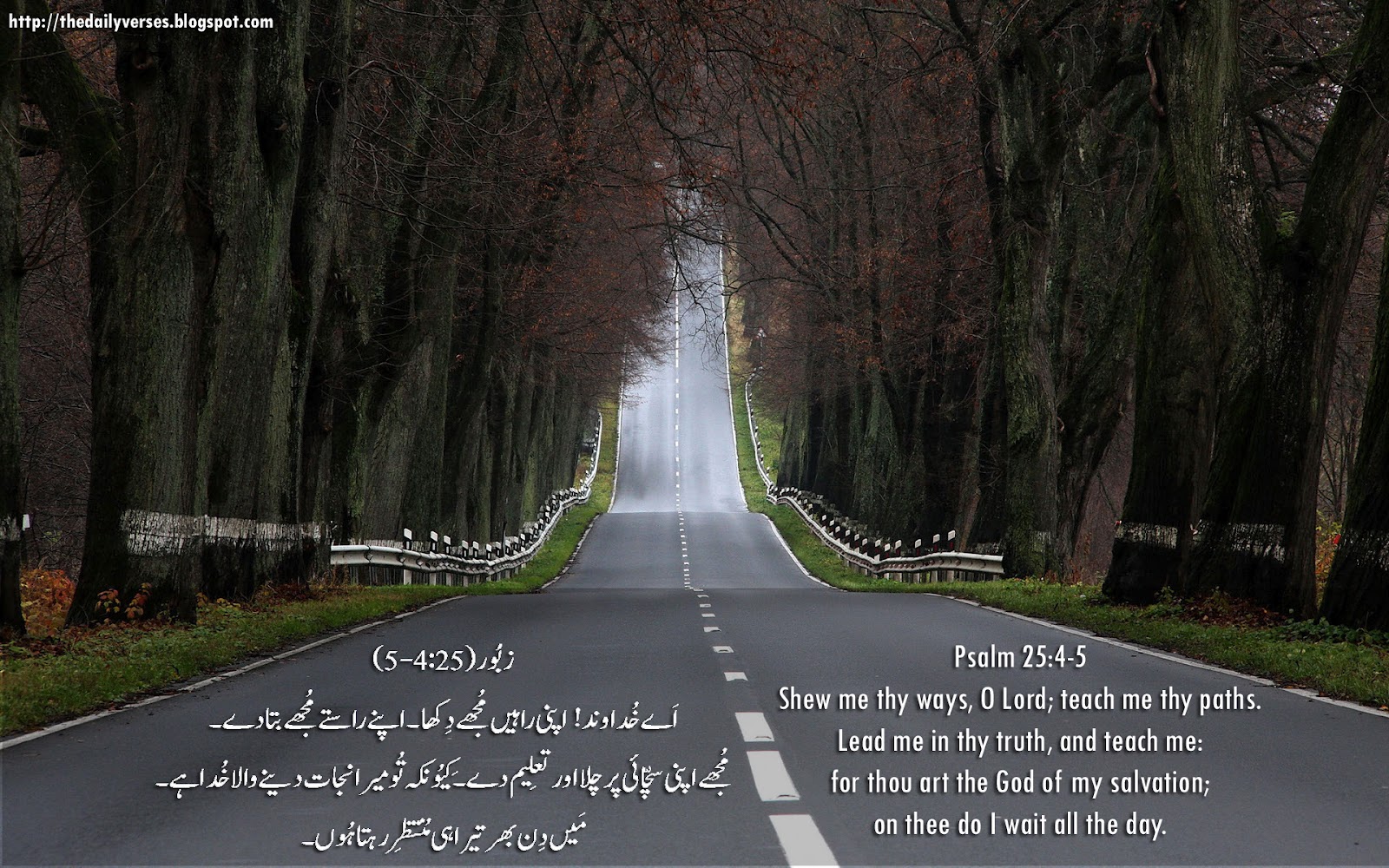 Daily Bible Verses Psalm 25 4 5 daily-bible-verses-psalm-25-4-5