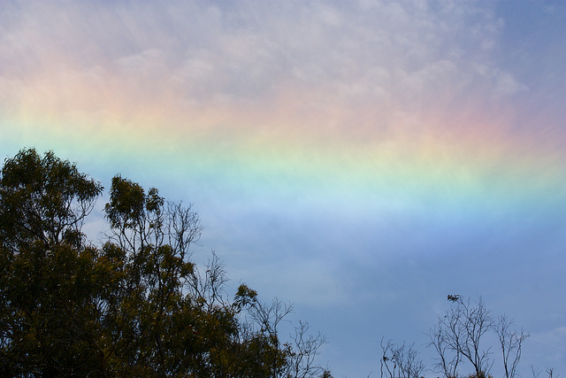 mdolla: The Fire Rainbow
