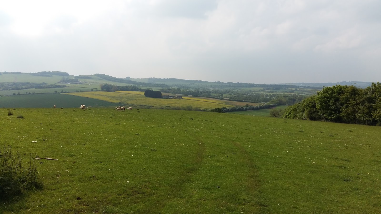 Cotswolds Travel: Shipton Oliffe & Withington Circular