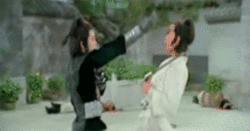 I Love Kung Fu 我爱功 夫的: Gifs sobre Kung Fu e outros