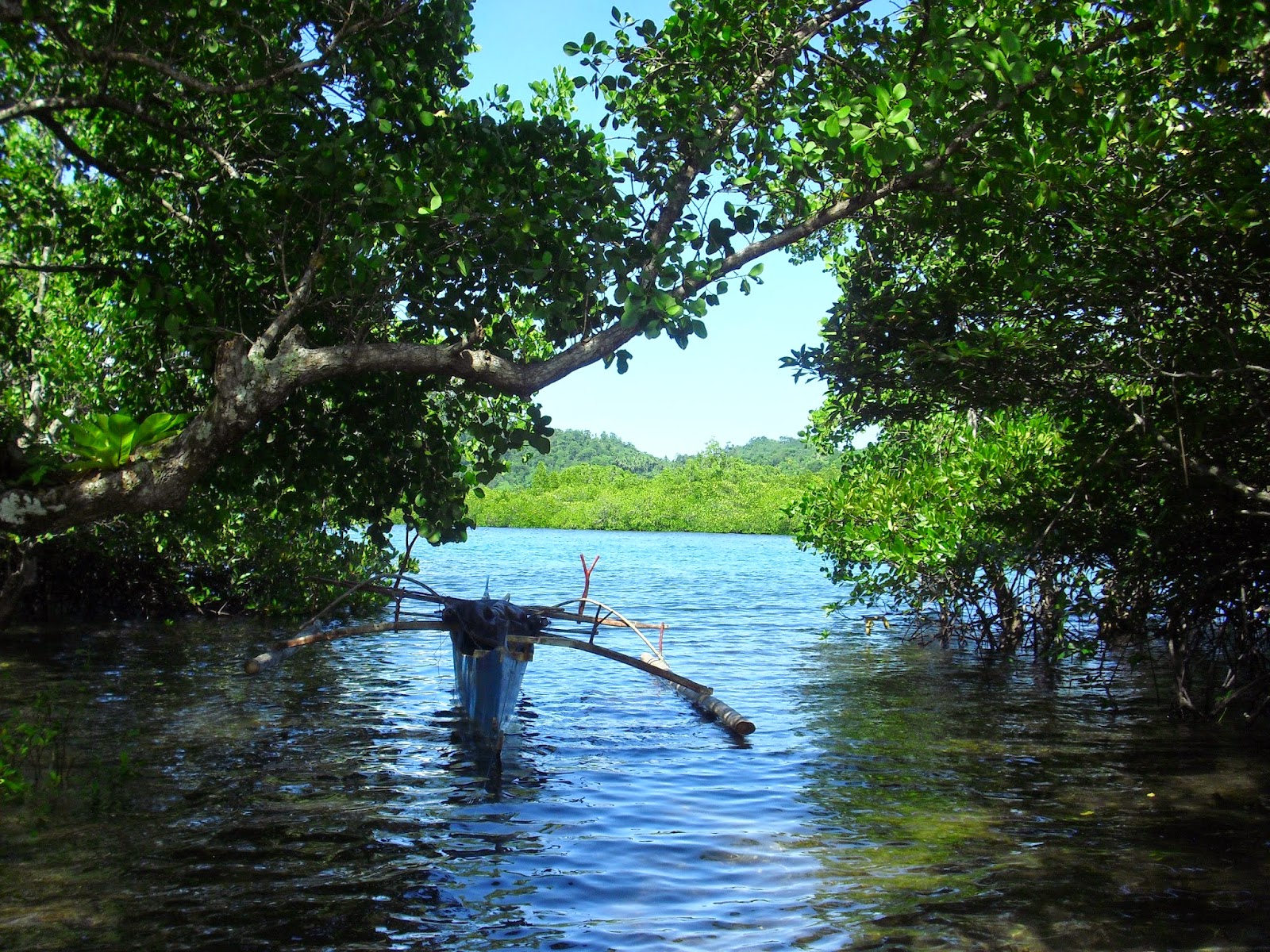 Halmahera Hijau: Strategi Pengelolaan Kawasan Hutan Lindung Hutan ...