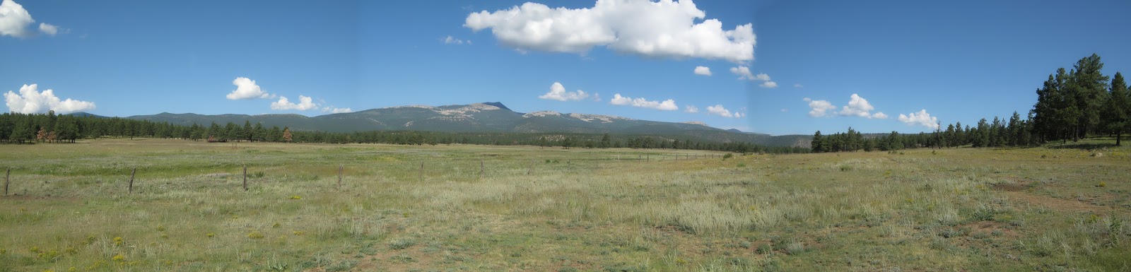 Highz's Ramblings: The Valley of Life