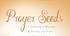 Prints of Grace: Prayer Seeds: A Gathering of Blessings, Reflections ...