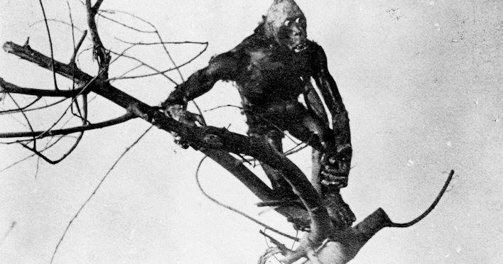 Puppets & Clay, Stop Motion Blog: The Dinosaur and the Missing Link ...