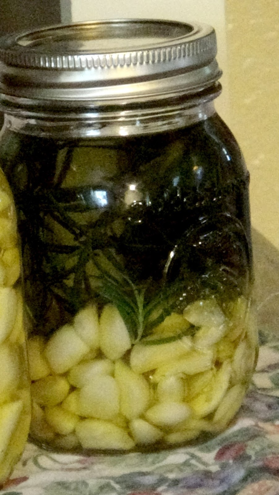 Cappy & Pegody's World: Dipping Our Toes in the Garlic Harvesting Process