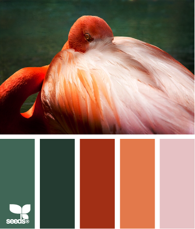 Thirty Seventh Avenue: Design Seeds - Flamingo Palette