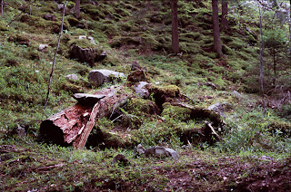 THE PHOTOGRAPHY DEPARTMENT: Joshua Bejan