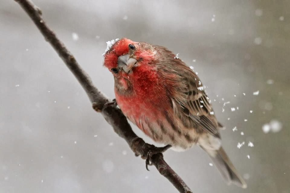 Partial Ellipsis of the Sun: A Blog for Scientists who like Words and ...