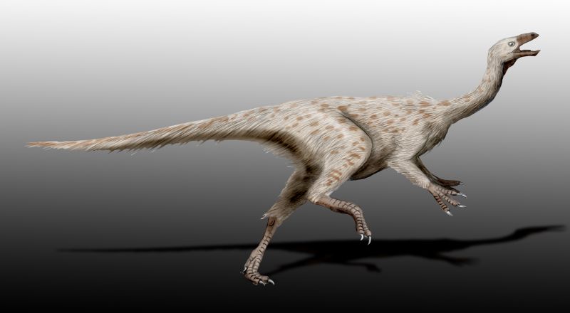 d20 Despot: Monster Monday: Gallimimus & Ornithomimus - They're ...