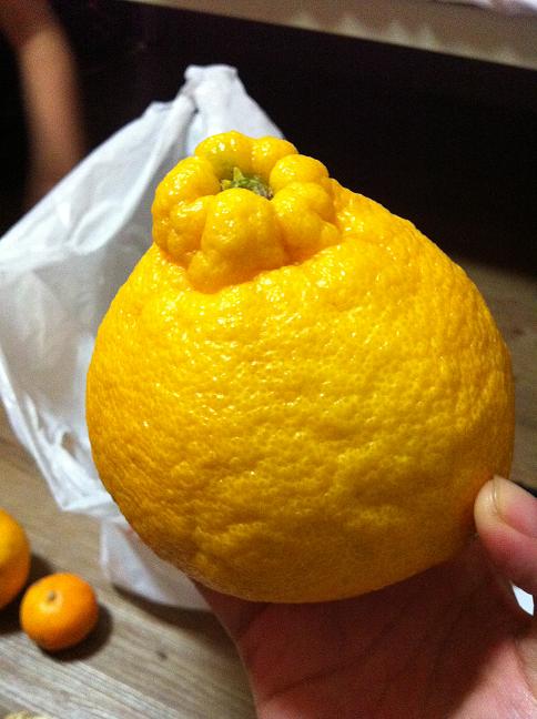 Hallabong - Jeju tangerine