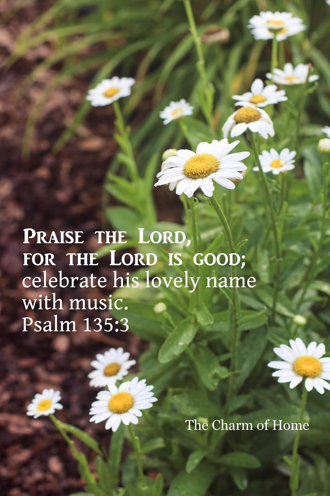 The Charm of Home: The Lord's Infinite Wisdom