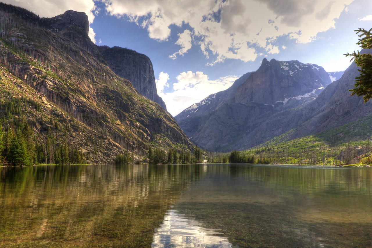 Wayne Harney: Where the hell is roscoe?