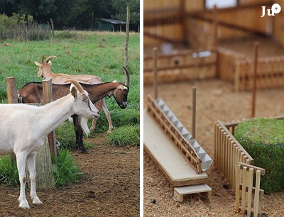 Ju*|carnets|: Soutenez la construction d'une chèvrerie bretonne