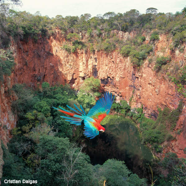 Você sabe o que é uma Dolina? | BLOG - Buraco das Araras Ecoturismo
