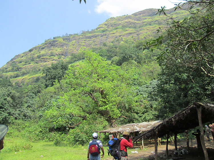 Khandas-Bhimashankar Trek