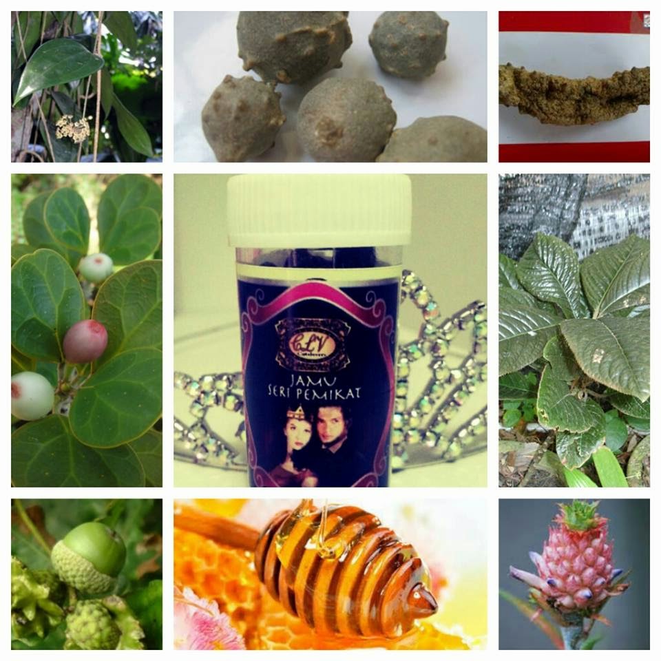 CLV: JAMU SERI PEMIKAT