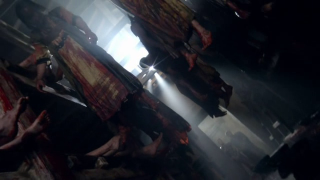 La Barba Quotidiana: Spartacus S305 - Blood Brothers. TROLLO-LO-LO!