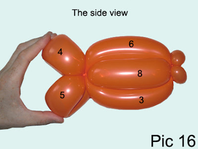 CLASSICAL: Balloon fish